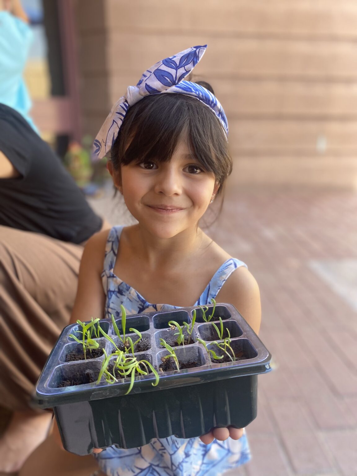 Primer Microschools - The Yass Prize